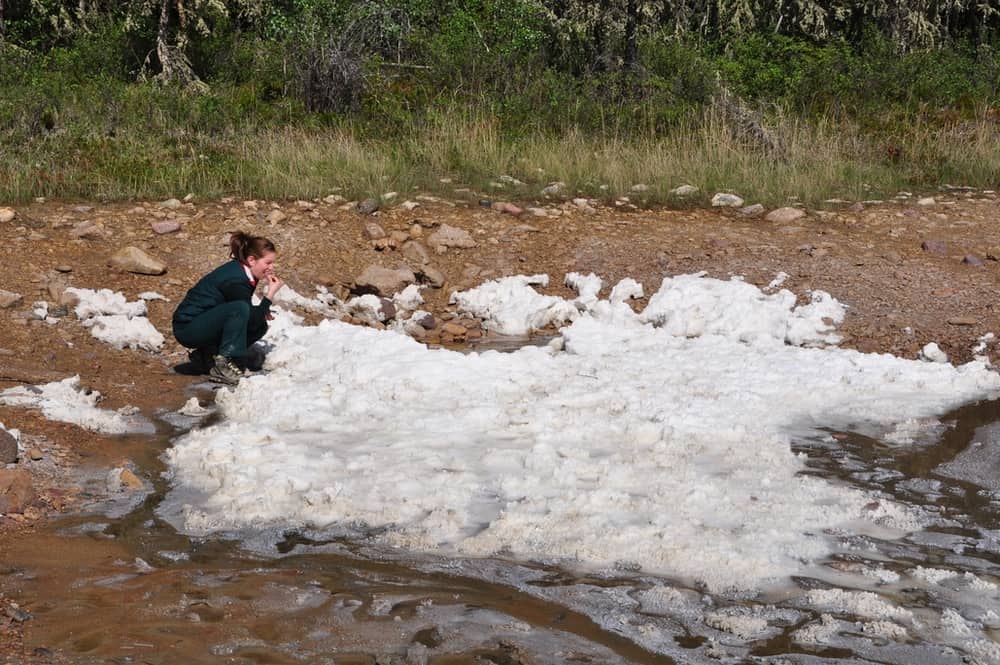 Wood Buffalo Nationalpark – Faszination Kanada